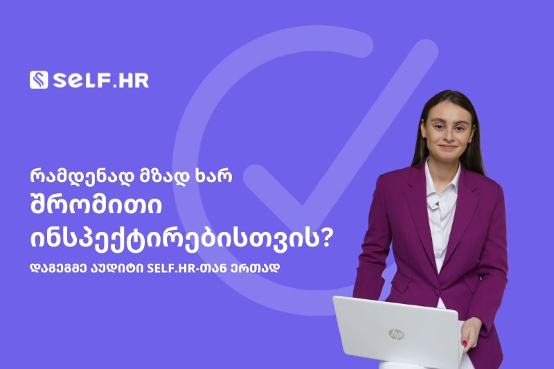 რამდენად მზად ხარ შრომითი ინსპექტირებისთვის? - დაგეგმე აუდიტი Self.HR ...